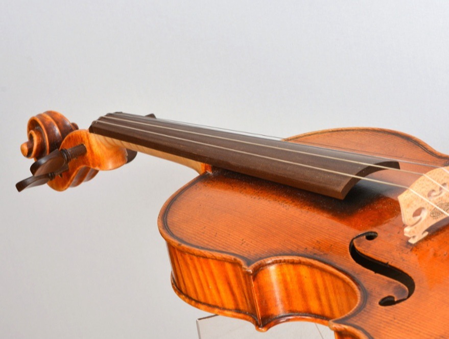 Sustainable Wood for Violin Making | Sonowood
