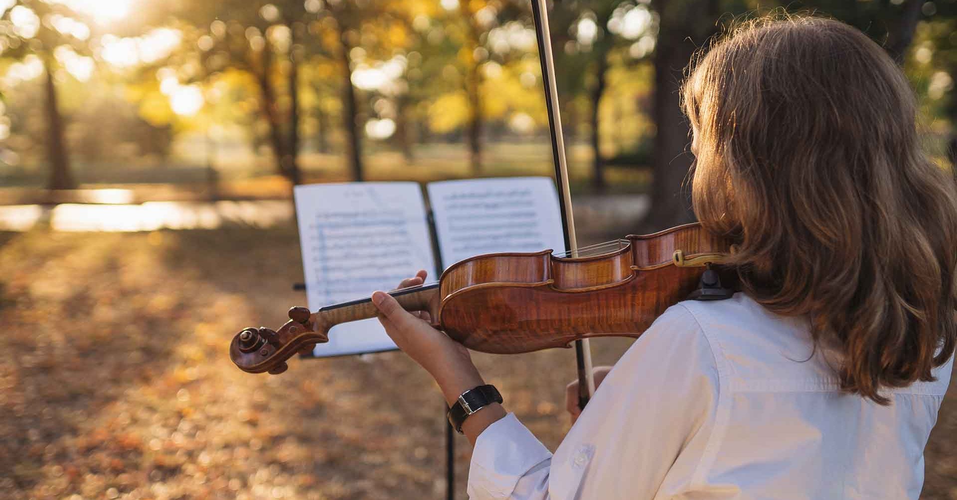 Sustainable Musical Instrument Building | Sonowood